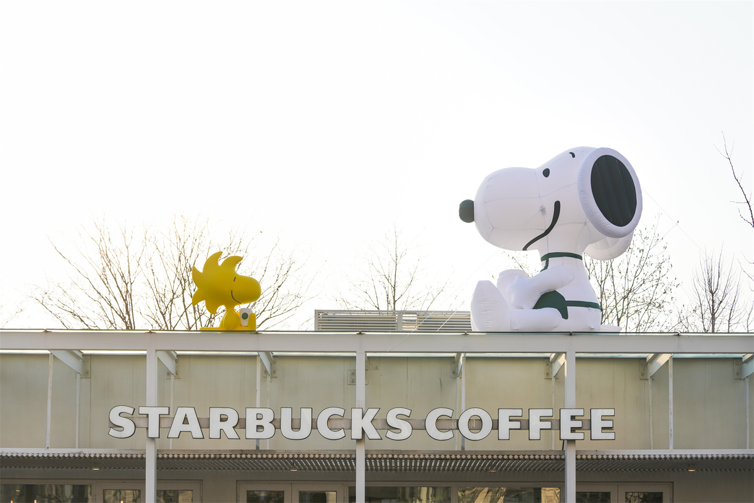 和你加倍快乐，星巴克中国首次联名Snoopy – ExcellentSH